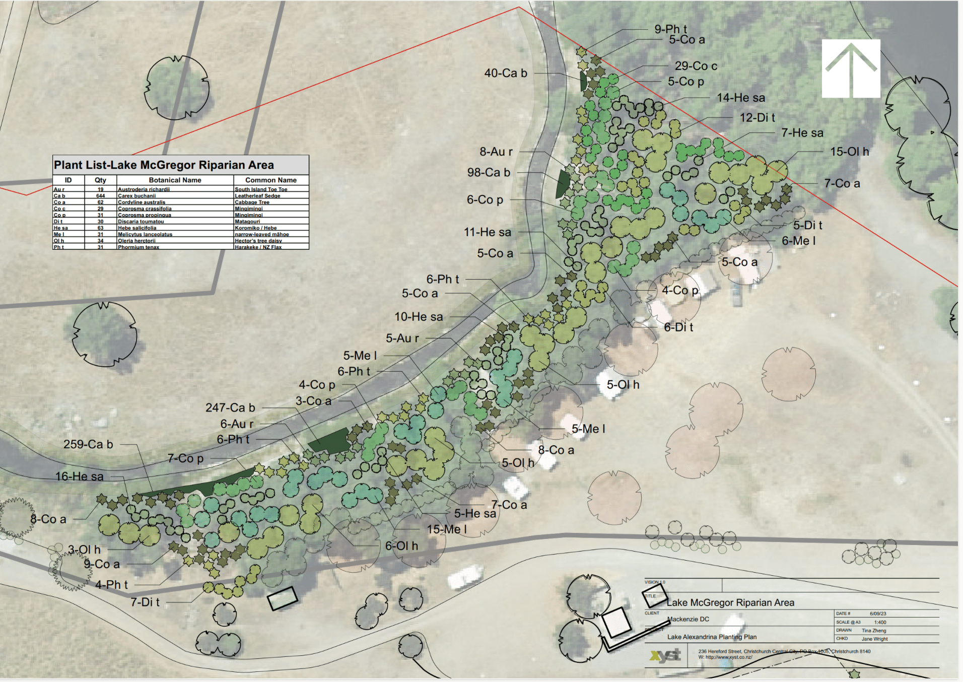 Lake Alexandrina and Lake McGregor Camp - Revegetation Plan - XYST